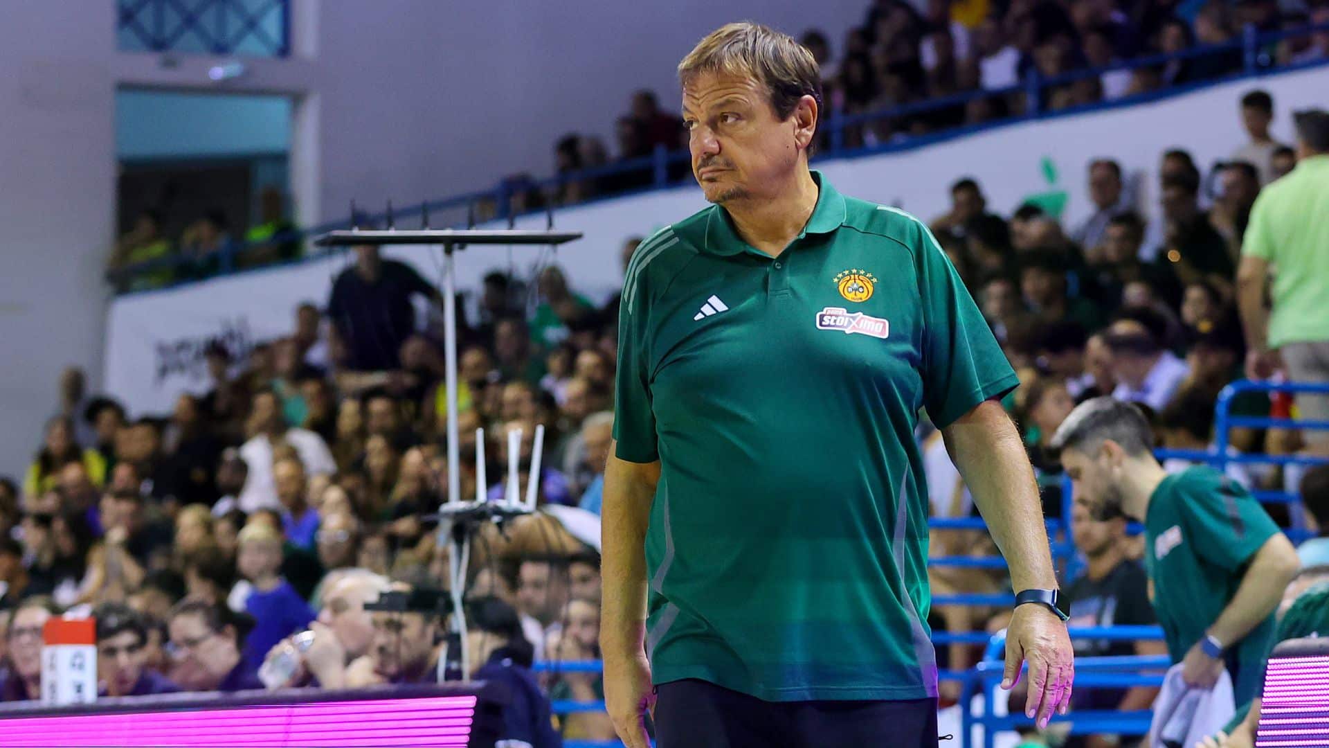 Δεν έχει τον Παναθηναϊκό στο κινητό του ο Σαρπ Αταμάν! | thrylos24.gr